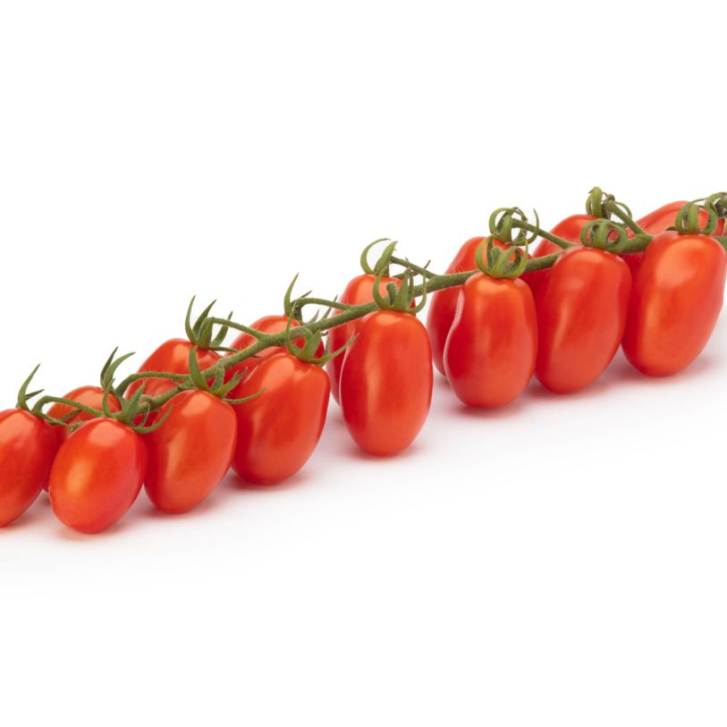 Pepper - New Collection 2024 - Harmoniz