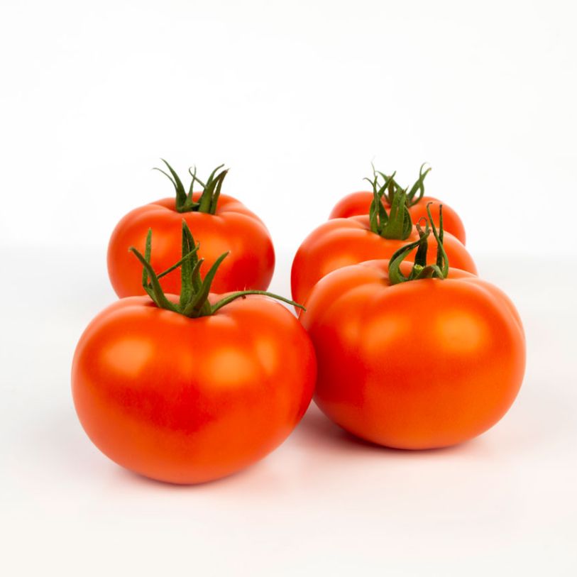 Pepper - New Collection 2024 - Harmoniz